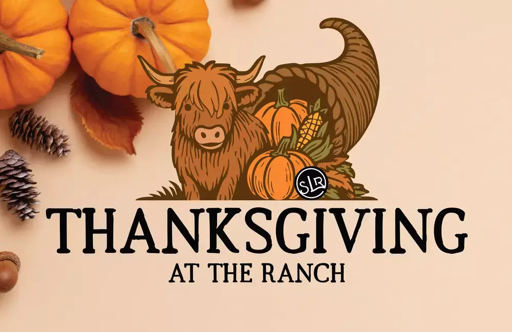 Thanksgiving in the Smokies: What You Need to Know About Thanksgiving ...